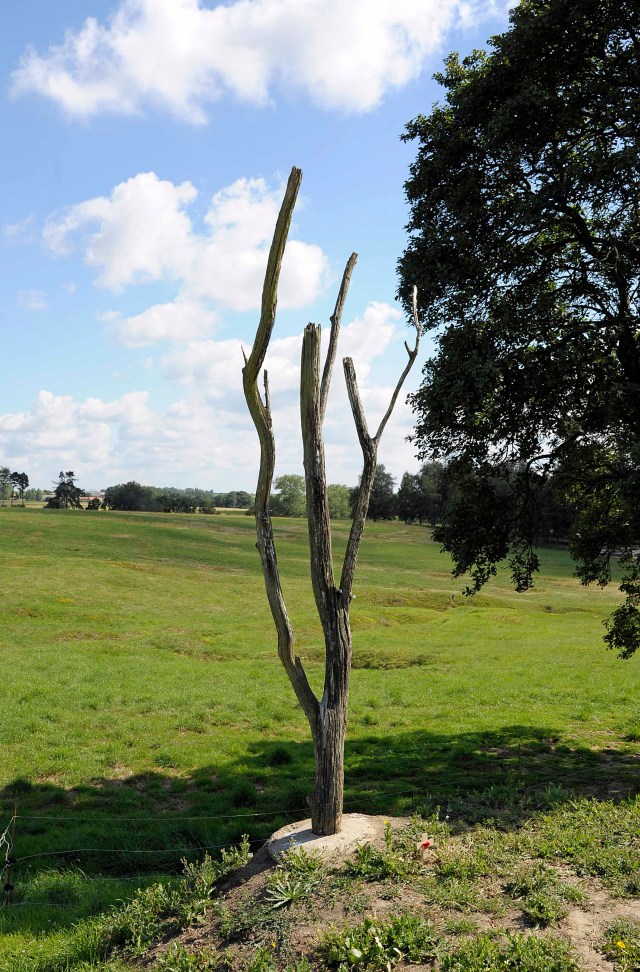 A day walking the Somme battlefields | Thoughtsofanidlemind's Blog